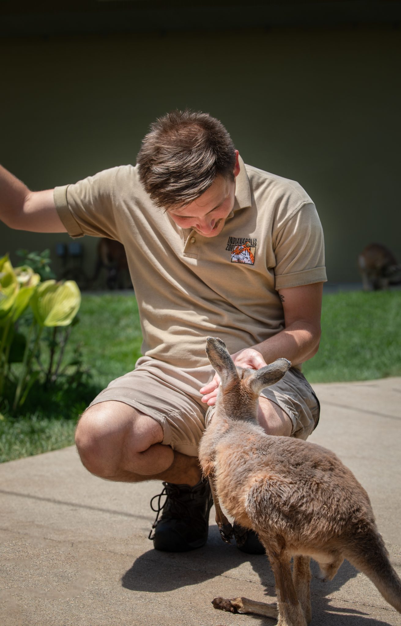 Indianapolis Zoo | Kangaroo Crossing | Powers & Sons Construction