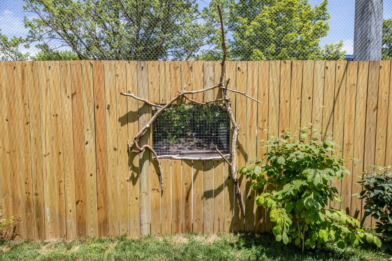 Indianapolis Zoo | Kangaroo Crossing | Powers & Sons Construction